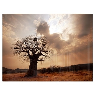 Large Baobab Tree under Clouds - Modern Landscape Glossy Metal Wall Art ...
