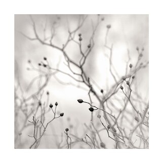 Nicholas Bell 'Winter Berries' Canvas Art - Bed Bath & Beyond - 39535044