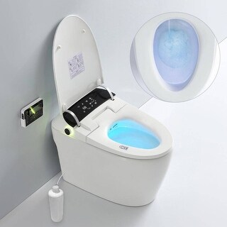 BOSCARE Smart Toilet Massage Washing Auto Flush Heated Integrated Multi ...
