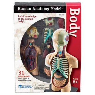 Model Human Body Anatomy - Bed Bath & Beyond - 22154284
