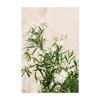 Elba Tuscany Italy Photography Botanical Floral Art Print/Poster - Bed ...