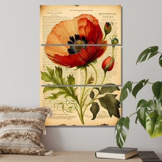 Designart "Blossoming Victorian Vintage Poppie V" Floral Poppy Canvas ...