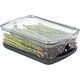 ProKeeper+ by Progressive Stackable Produce ProKeeper Storage Container ...