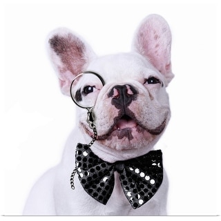 "French Bulldog with a monocle and tie" Poster Print - Multi - Bed Bath ...