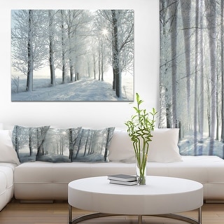 Designart "Winter Trees Backlit by Morning Sun" Large Forest Artwork ...