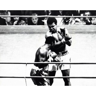 Muhammad Ali and Mac Foster boxing Photo Print - Bed Bath & Beyond ...