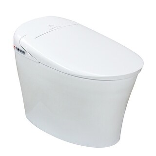Ginger 1-Piece 1.28 GPF Single Flush Elongated Bidet Toilet in White ...