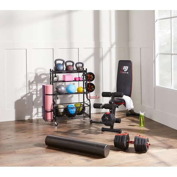 gym weights rack