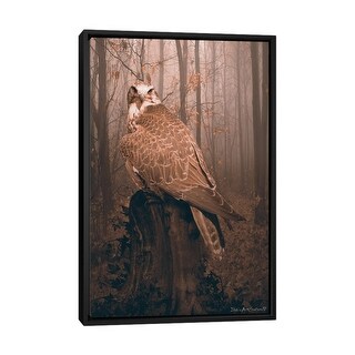 iCanvas "Falcon" by Babette Van den Berg Framed Canvas Print - Bed Bath ...