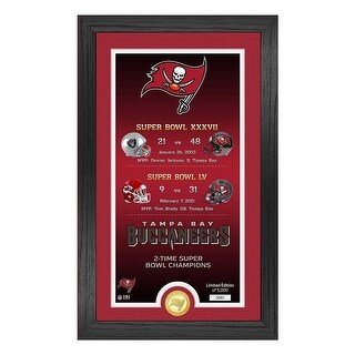 Tampa Bay Buccaneers "Legacy" Bronze Coin Photo Mint - 12" x 20" - Bed ...