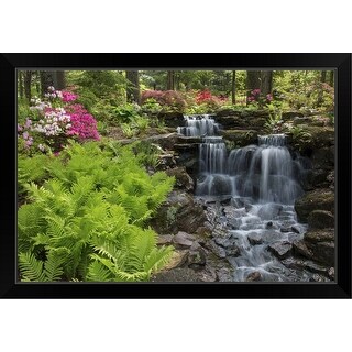 "Waterfall with ferns and azaleas at Azalea Path Arboretum And ...