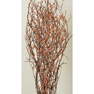 Dried Sweet Huck Branches Bittersweet (Orange) faux berries Large 4oz ...