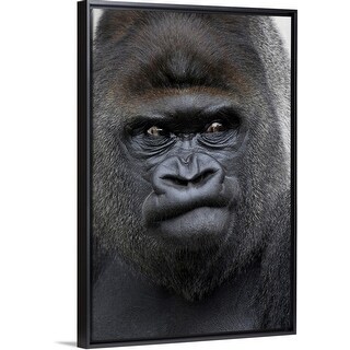 "Gorilla gorilla" Black Float Frame Canvas Art - Bed Bath & Beyond ...