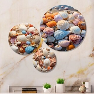 Designart "Beach Photo Seashell Collage I" Animals Metal Art Living ...