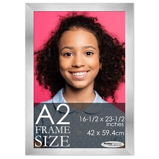 A2 Frame Silver Modern Minimalist - Wooden 16.5x23.5 Frame - Modern ...