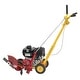 McLane 101-4.75GT-7 9 Inch Gas Walk Behind Lawn Edger, 5.50 Gross ...