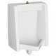 American Standard Washbrook Wall Hung Urinal Fixture Only - Bed Bath ...