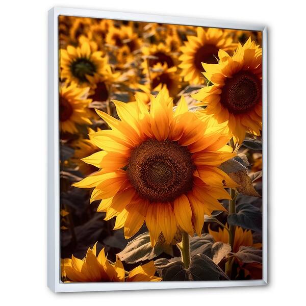 sunflower framed prints