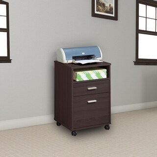 Blend Style Mobile File Cabinet with 2 Drawers, Full-Extension File ...
