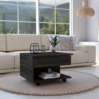 Lift Top Coffee Table with Concealed Storage Casters, One Shelf for ...