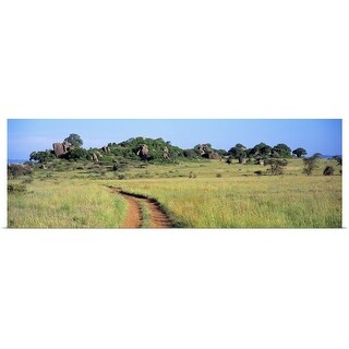 "Simba Kopjes and Road Serengeti Tanzania Africa" Poster Print - Bed ...