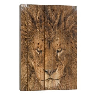 Serious Lion Print On Wood by Mike Centioli - Multi-Color - Bed Bath ...