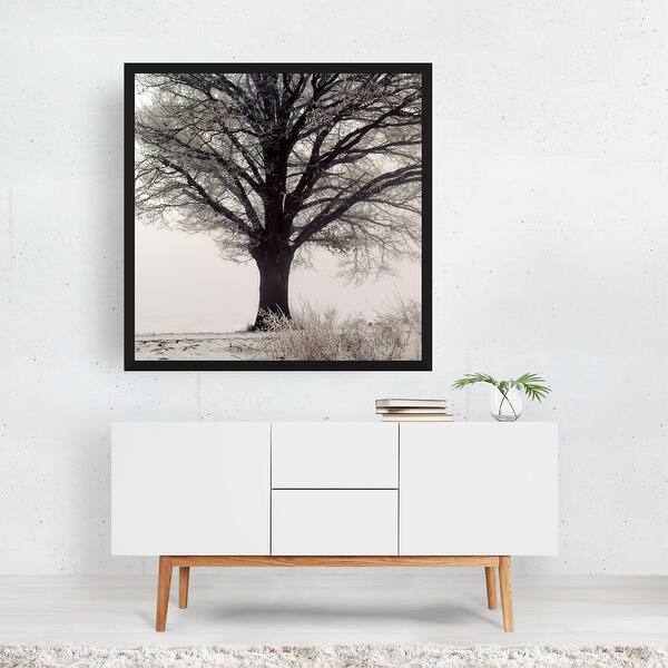 Oak Tree Photography Black White Landscape Nature Art Print/Poster ...