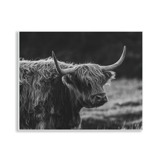 Stupell Bold Scottish Highland Wall Plaque Art Design By Crystal Lynn ...