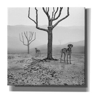 Epic Graffiti 'Dogs in Fog' by Dariusz Klimczak, Canvas Wall Art - Bed ...