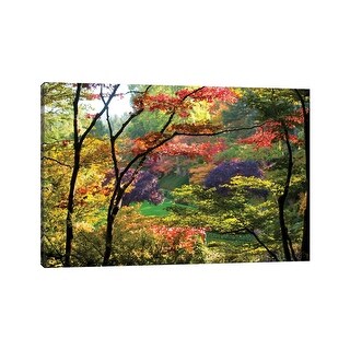 iCanvas "Trees In Butchart Gardens, Victoria, Vancouver Island, British ...