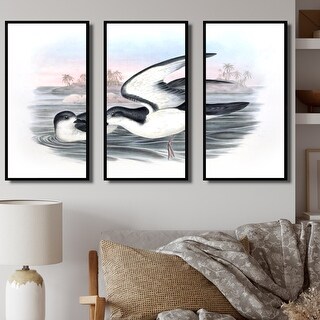 Designart "Vintage Australian Birds X" Traditional Framed Canvas Wall ...
