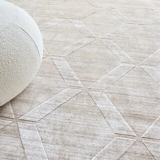 EXQUISITE RUGS Castelli Hand-loomed Bamboo Silk/Wool Light Beige Area ...