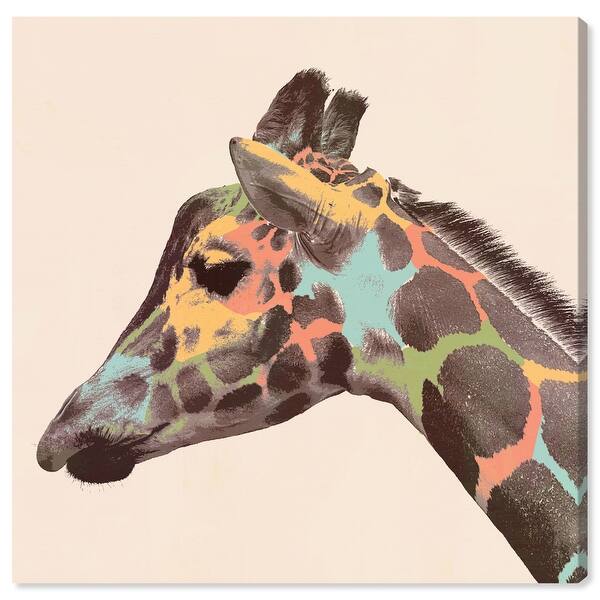 multicolored giraffe