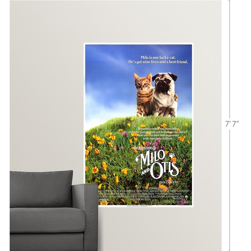 milo cat otis dog coloring pages