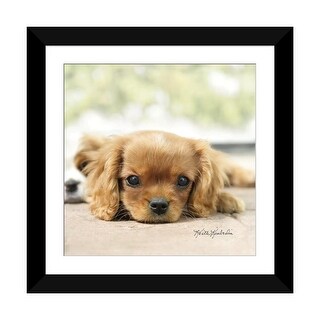 iCanvas "Pebbles" by Keith Kimberlin - Bed Bath & Beyond - 37389712