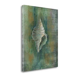 36" Blue and Green Seashell Giclee Wrap Canvas Wall Art - Bed Bath ...