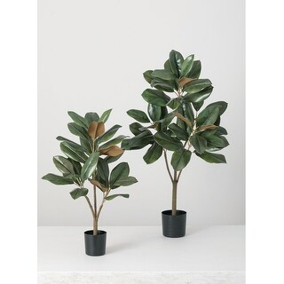 Sullivans Artificial Set of 2 Magnolia Tree 39"H & 25.5"H Green - 18"L ...