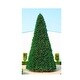 20' Pre-Lit Everest Fir Giant Commercial Christmas Tower Tree - Warm ...