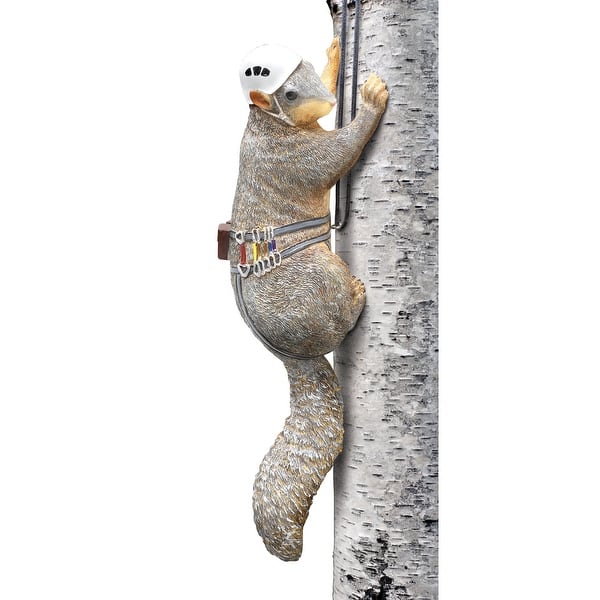 climbing squirrel
