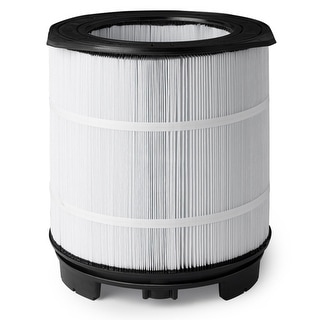 Sta-Rite 250220203S System 3 Large Outer Pool Replacement Pool Filter ...