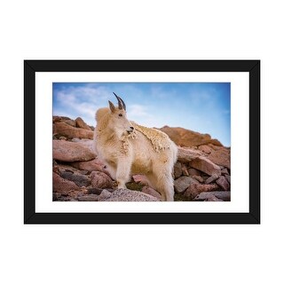 iCanvas "Billy Goat Scruff" by Darren White Photography - Bed Bath ...