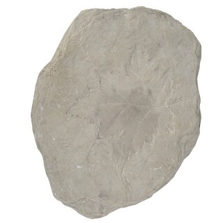 Leaf Fossil Sculpture - 16" - Bed Bath & Beyond - 39862530