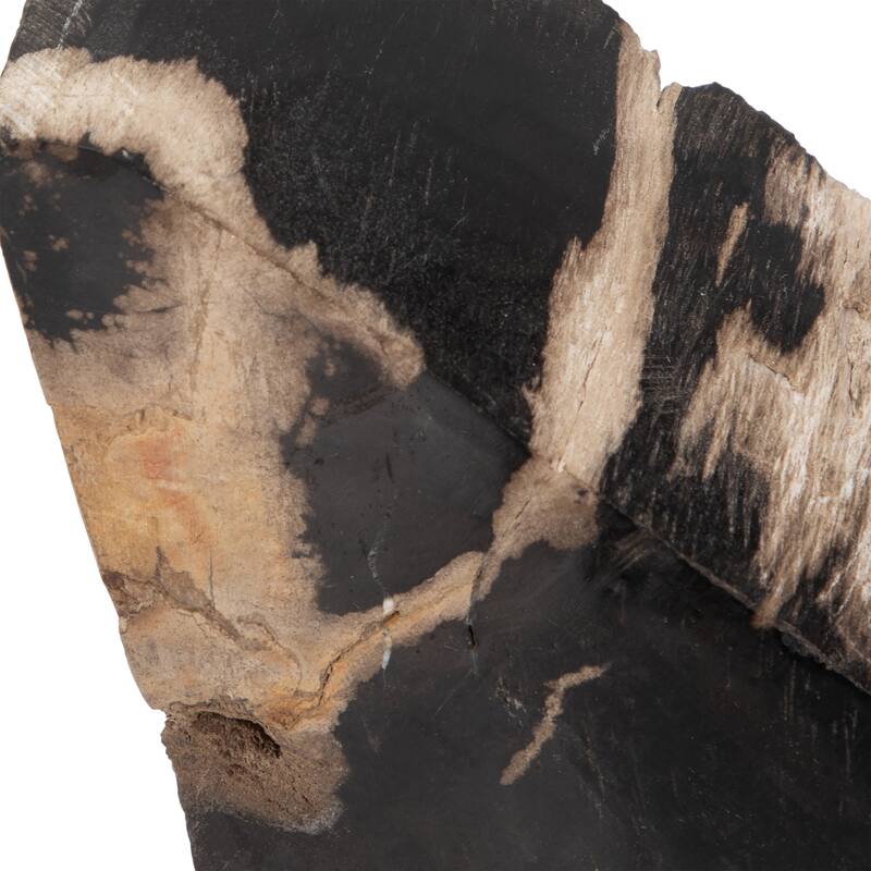 Wooden Triangular Petrified Bookends - Set of 2, Brown, 6" - 6.0 ...