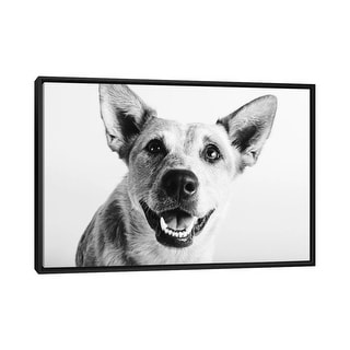 iCanvas "Irma" by Susan Sabo Framed Canvas Print - Bed Bath & Beyond ...