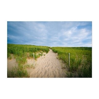 Cape Cod Massachusetts Dunes at Race Point Beach Art Print/Poster - Bed ...