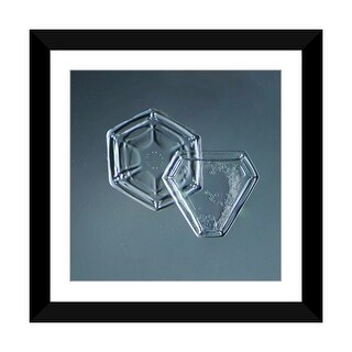 iCanvas "Hexagonal and Triangular Plate Snowflakes" by Print Collection ...