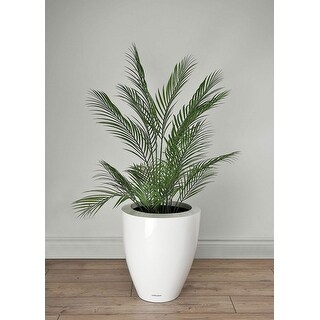 Lux Bell Fiberglass Bell Pot - Bed Bath & Beyond - 28889279