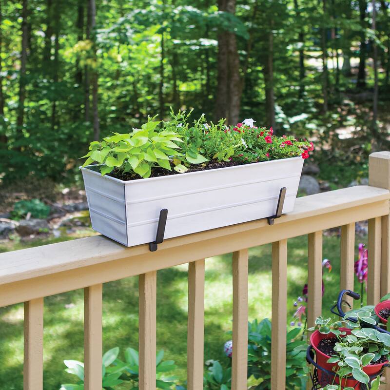 Achla Designs 24" W Medium Cape Cod White Galvanized Steel/Wrought Iron ...