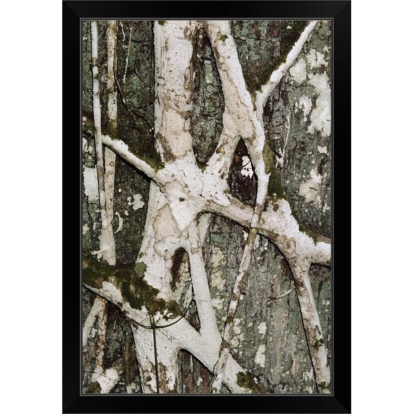 strangler fig tree pattern