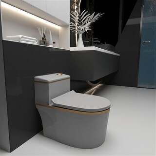 ADA Height One piece dual flush elongated 12'' rough in toilet (Seat ...